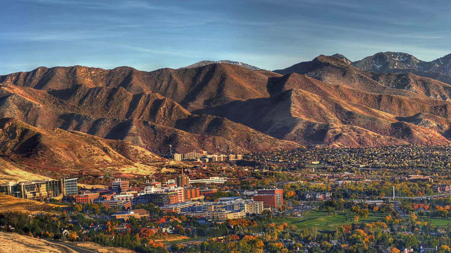 Best Alumni Affinity Groups Platform