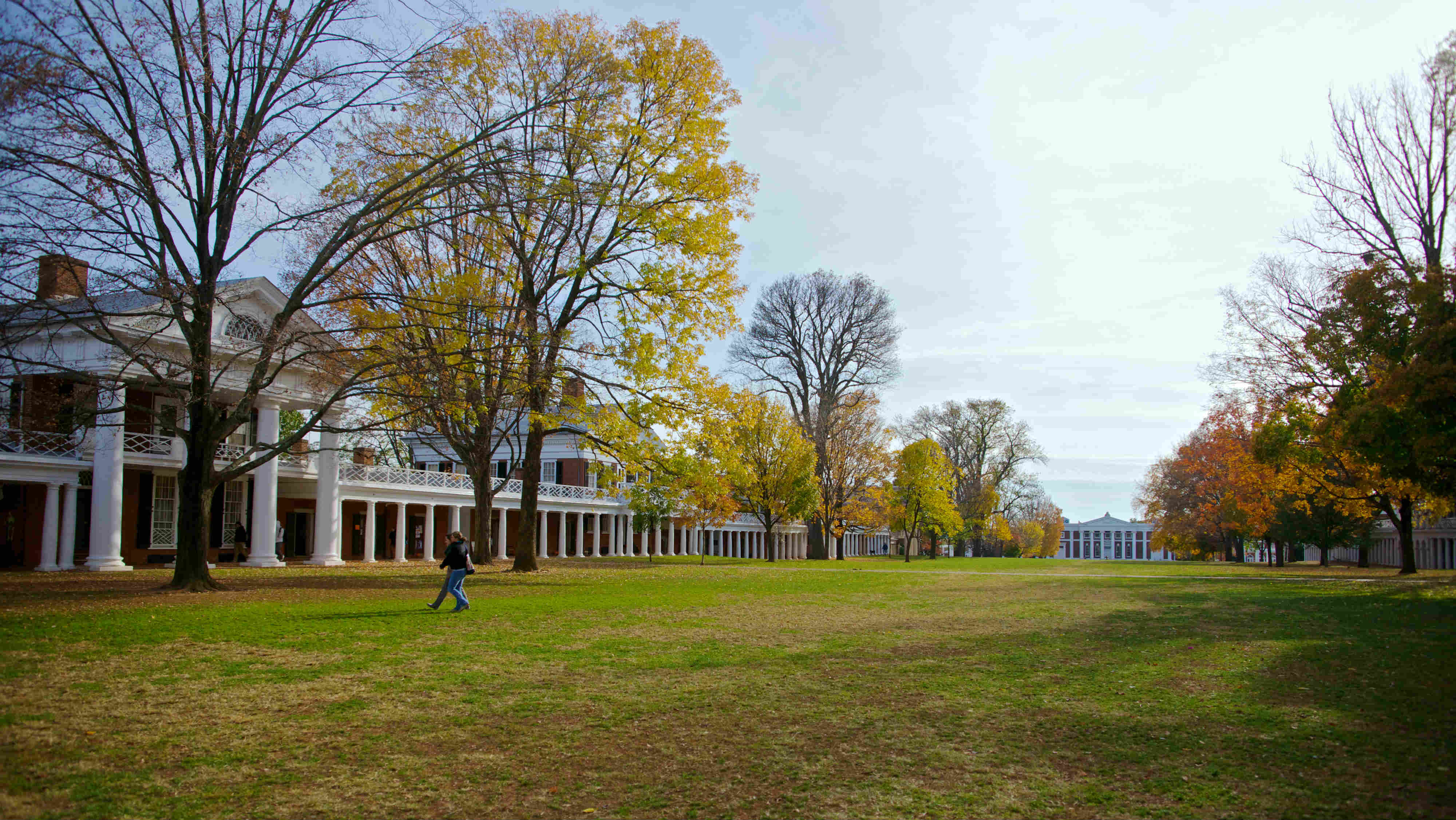 Best Alumni Directory Platform