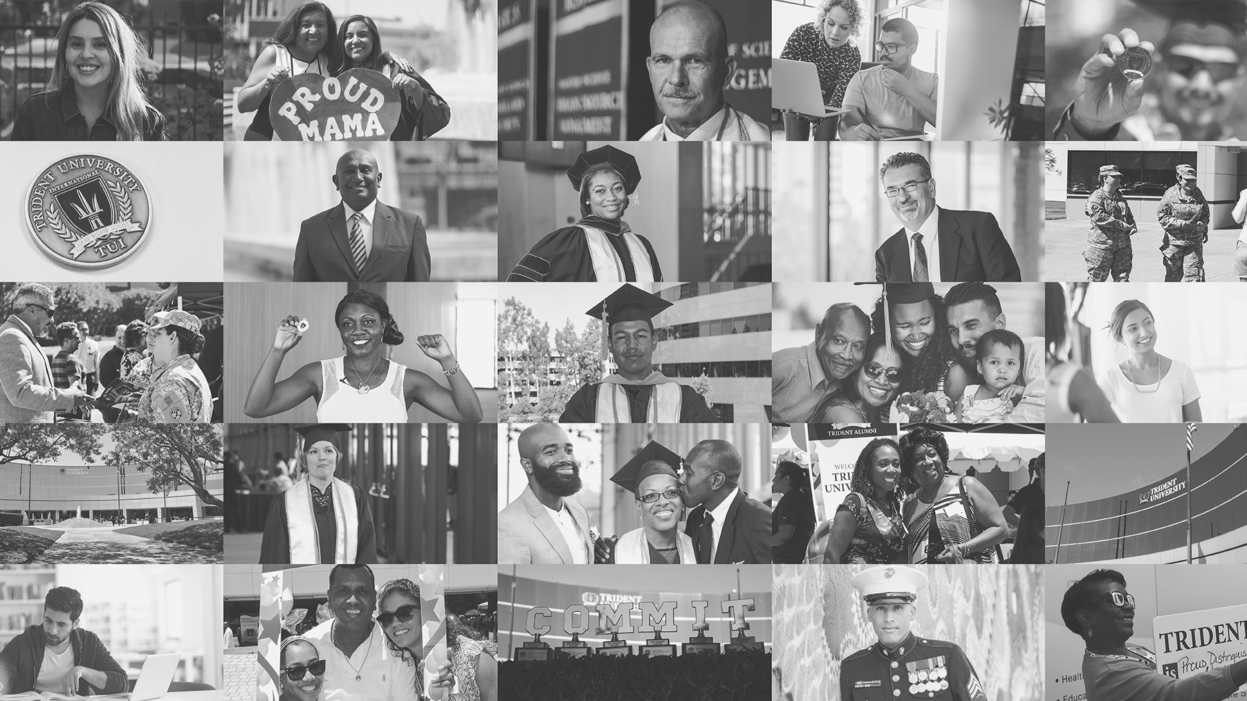 Best Alumni Directory Platform