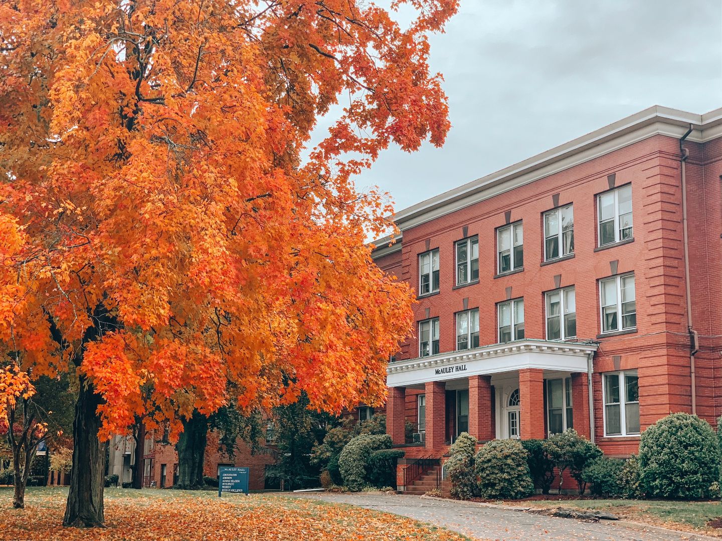 Best Alumni Directory Platform