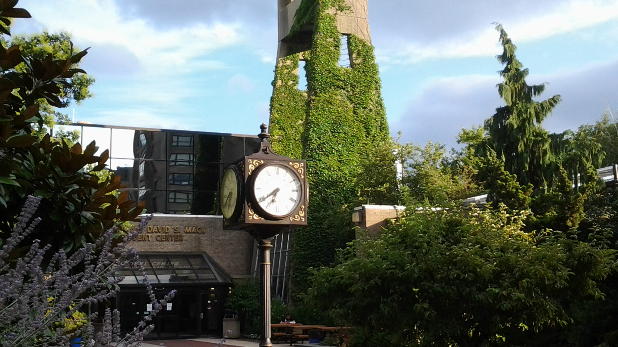 The Hofstra alumni network on Alumnifire | Alumnifire for Hofstra