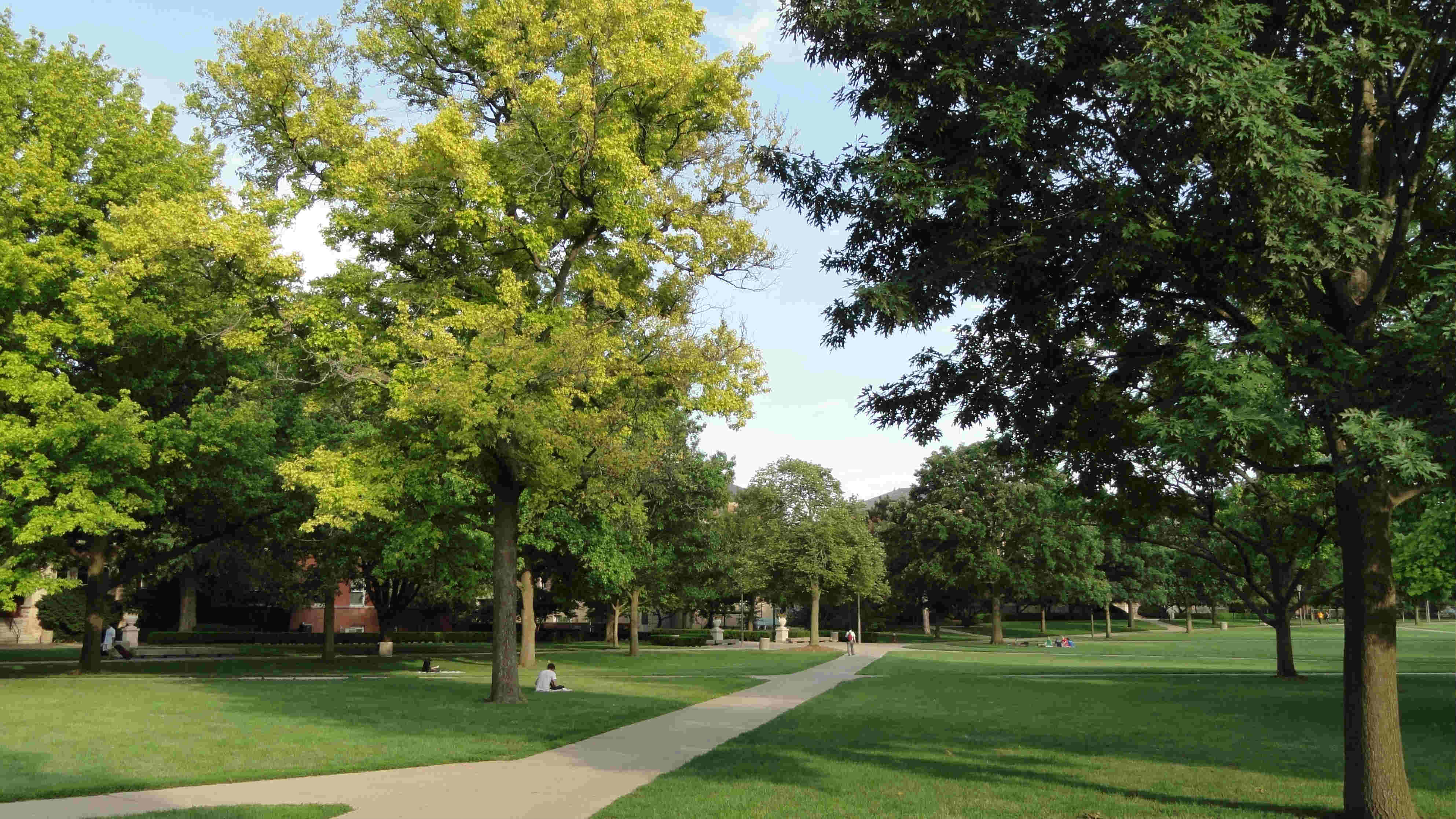 The UIUC alumni network on Alumnifire | Alumnifire for UIUC