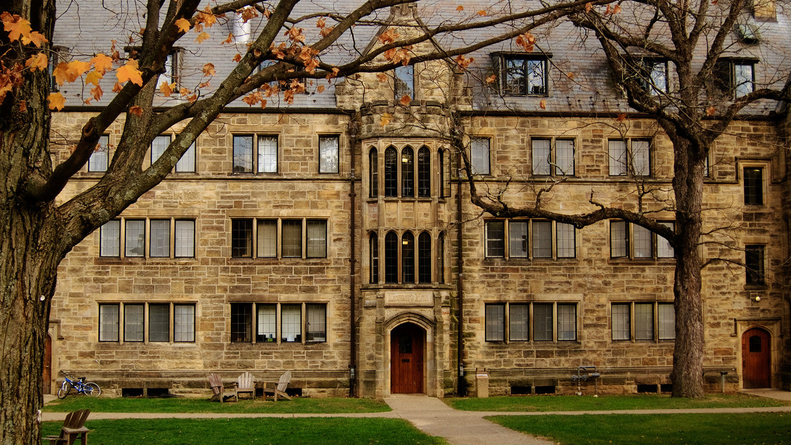 The Kenyon alumni network on Alumnifire | Alumnifire for Kenyon