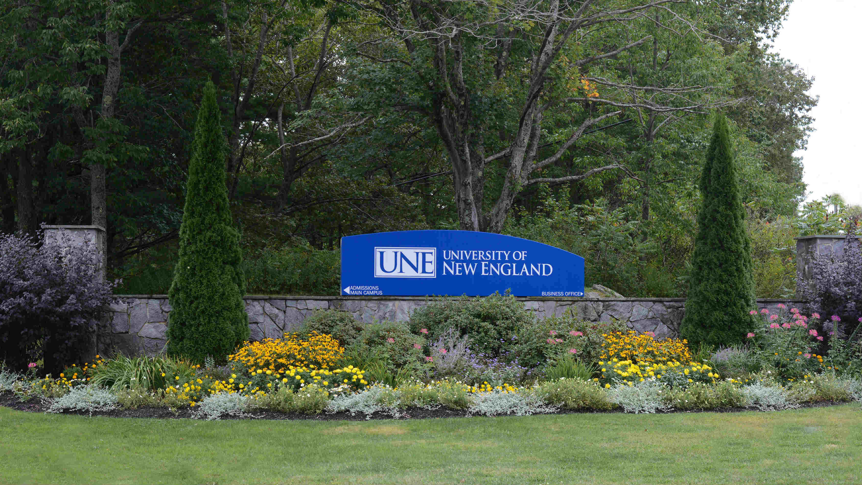 Best Alumni Directory Platform